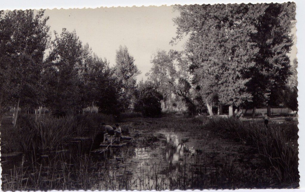 Forêt de Chizé et Boutonne | Mairie de chize