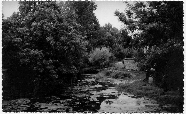 Forêt de Chizé et Boutonne | Mairie de chize