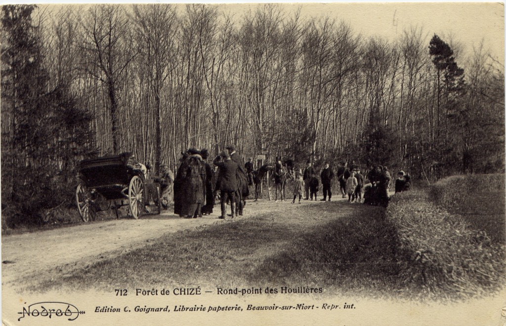 Forêt de Chizé et Boutonne | Mairie de chize